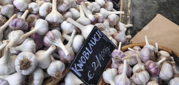 Steckbrief Knofi & So - Lotta Karotta