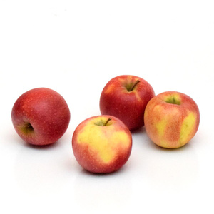 Apfel Wurtwinning - Lotta Karotta