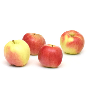 Apfel Deljonka - Lotta Karotta